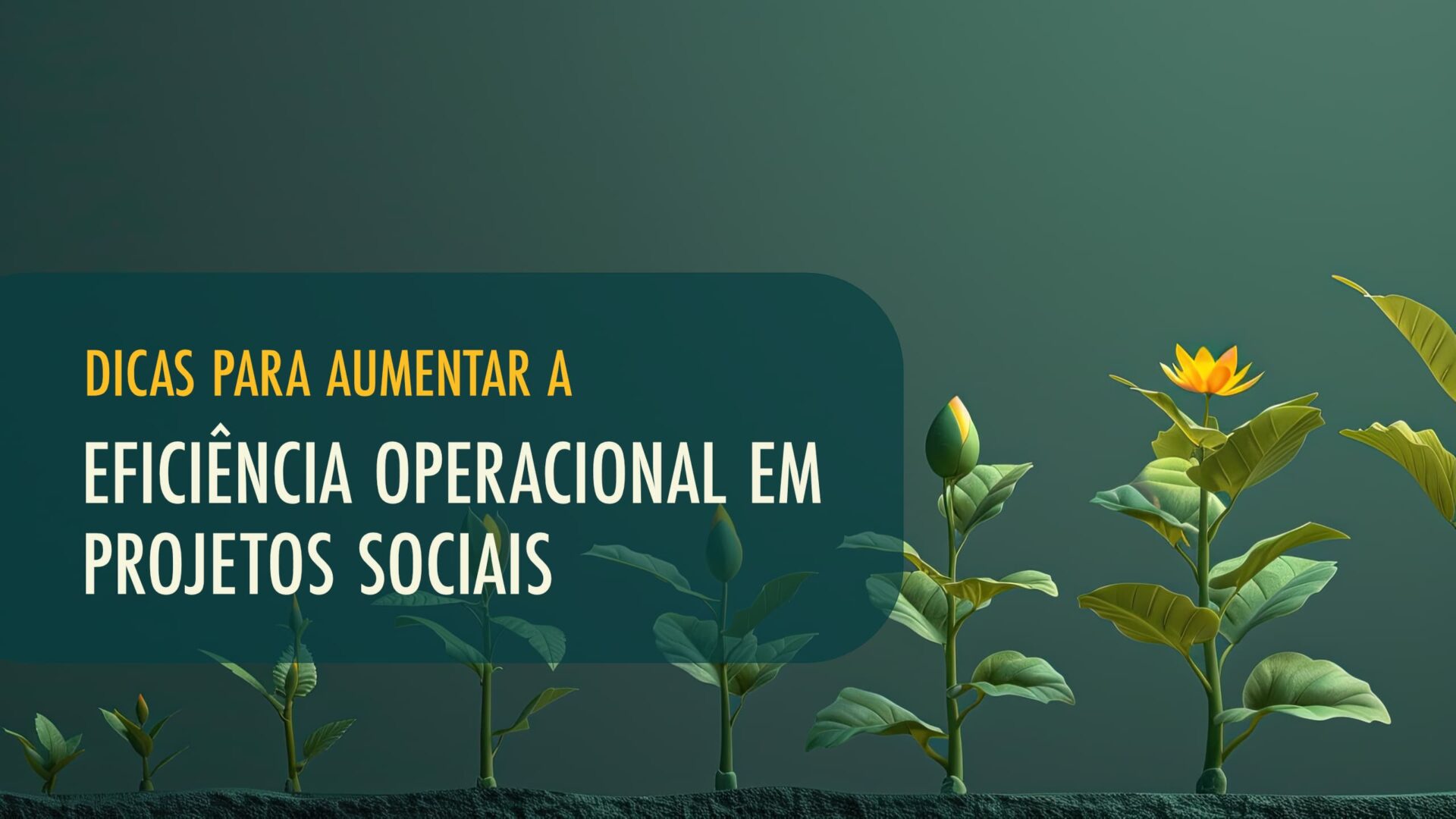 Como Aumentar o Engajamento Comunitário em Projetos Sociais | Economato